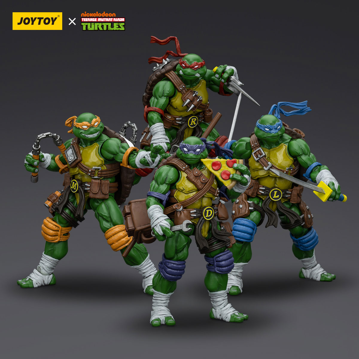 TMNT Action Figure