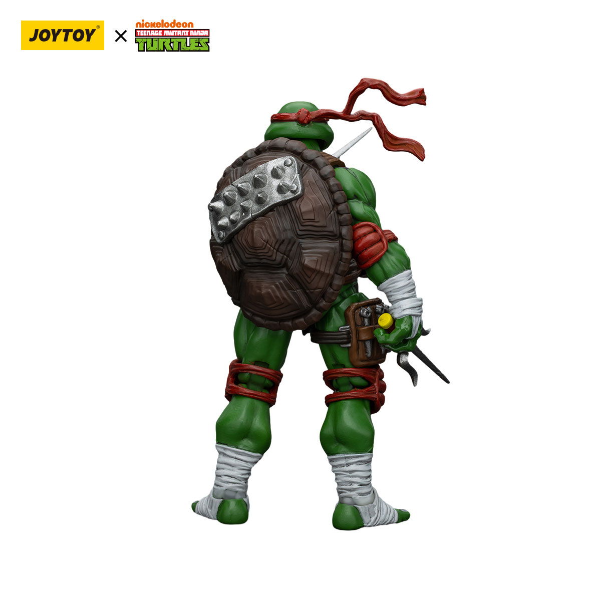 TMNT Action Figure