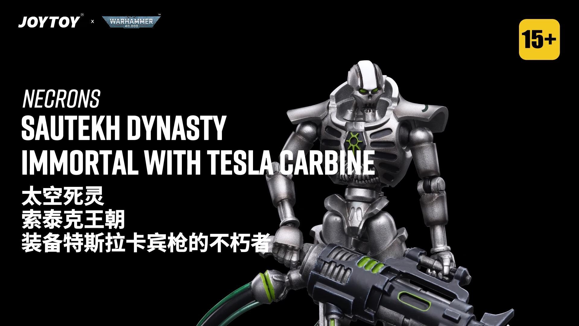 JoyToy Warhammer 40K Necrons Sautekh Dynasty Immortal with Tesla Carbin