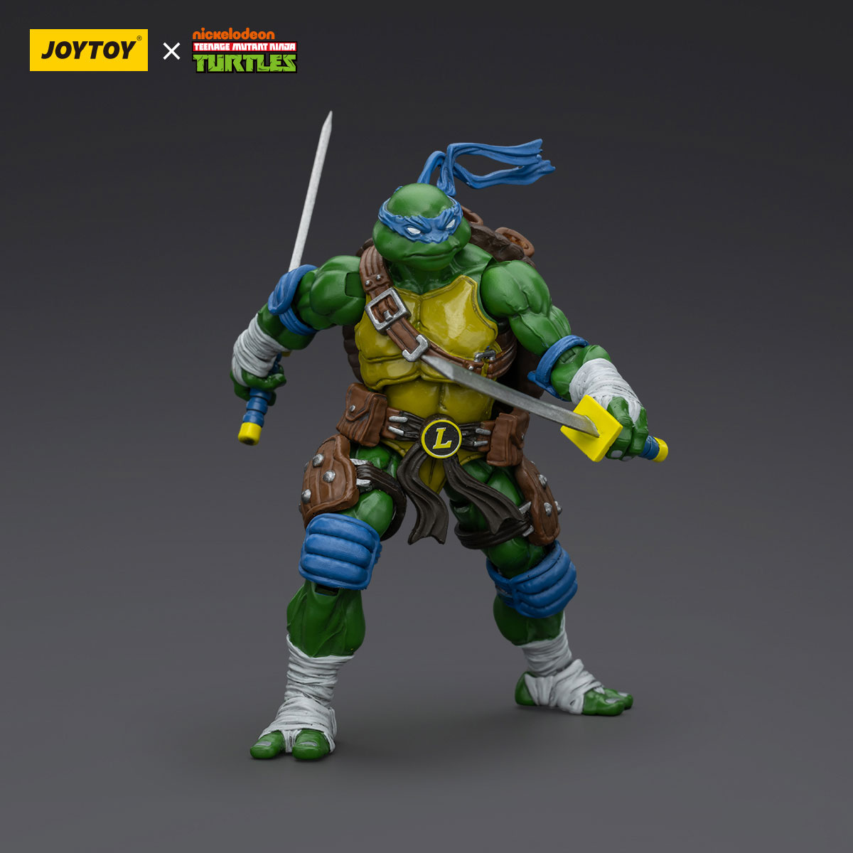 TMNT Action Figure