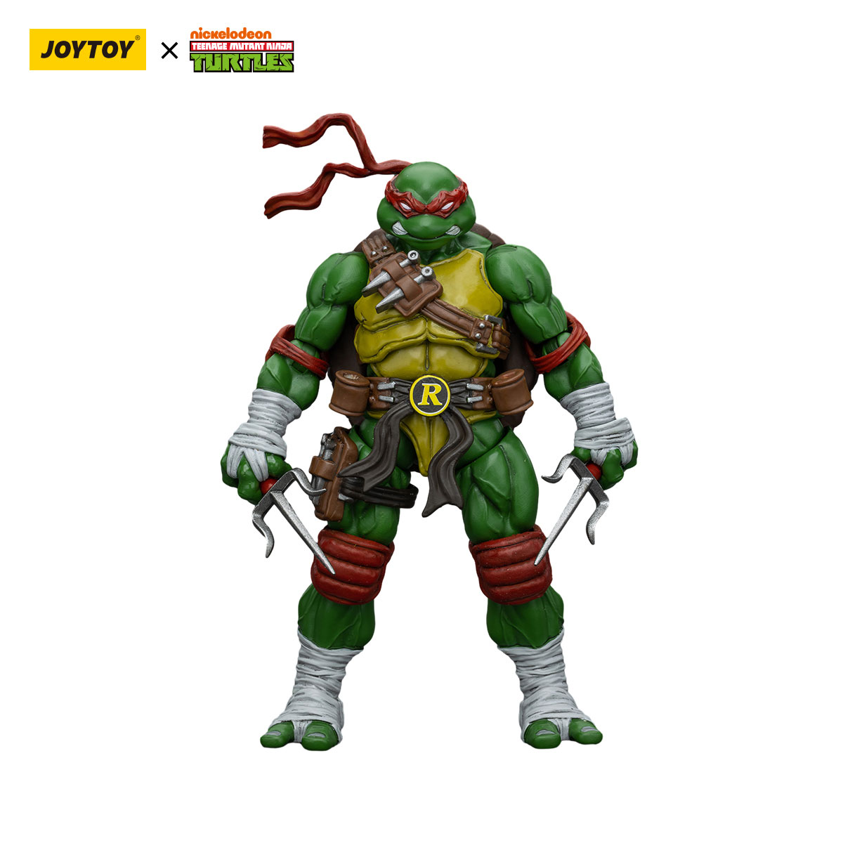 TMNT Action Figure
