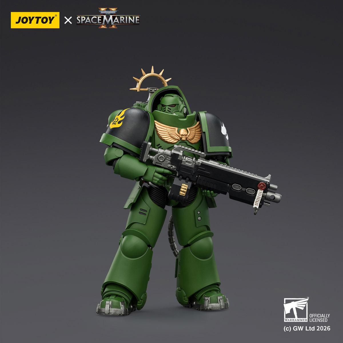 Heavy Intercessor Figure Salamanders | Warhammer 40K - JOYTOY